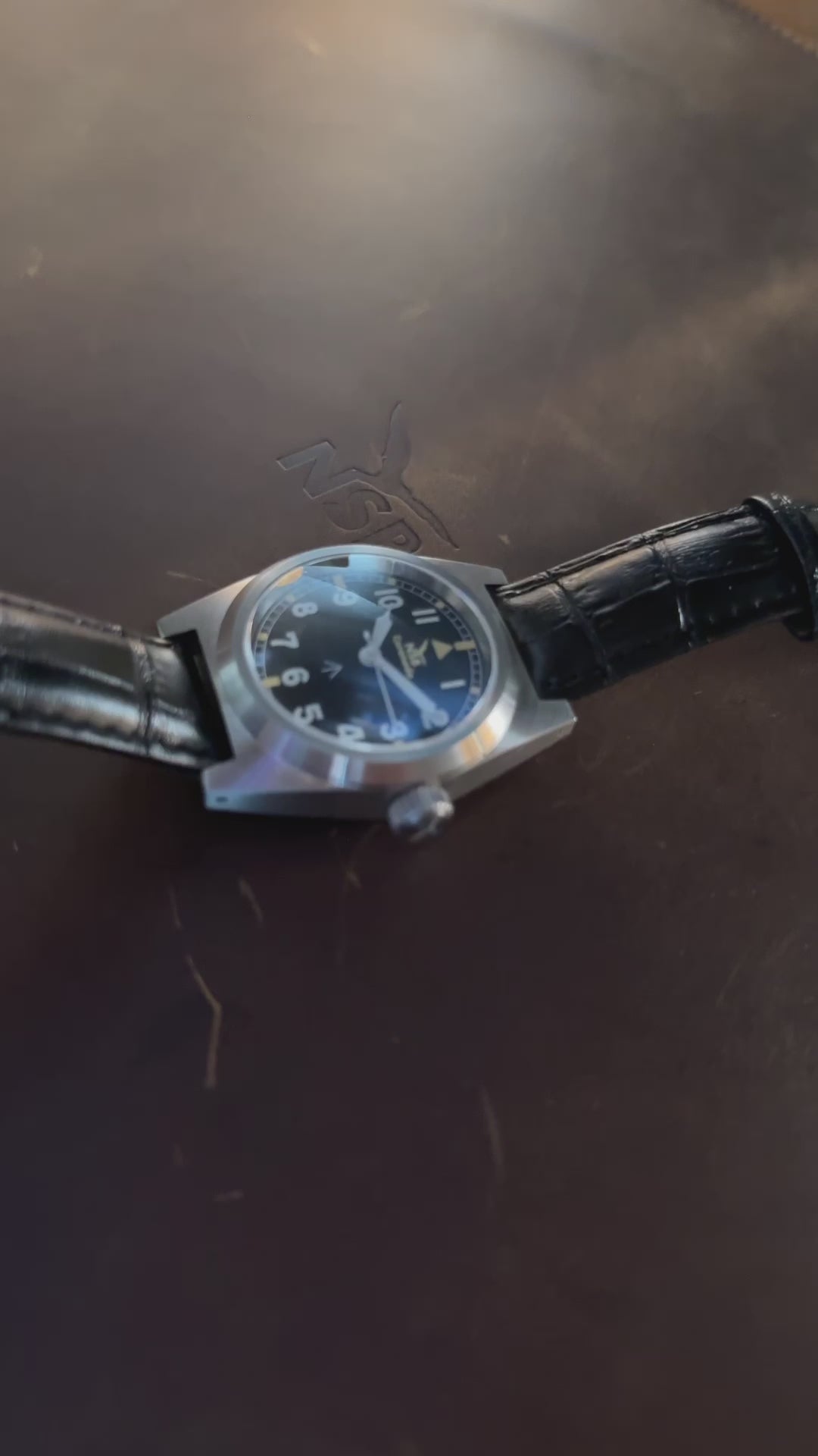 Coronado Field Watch – NSB Watch